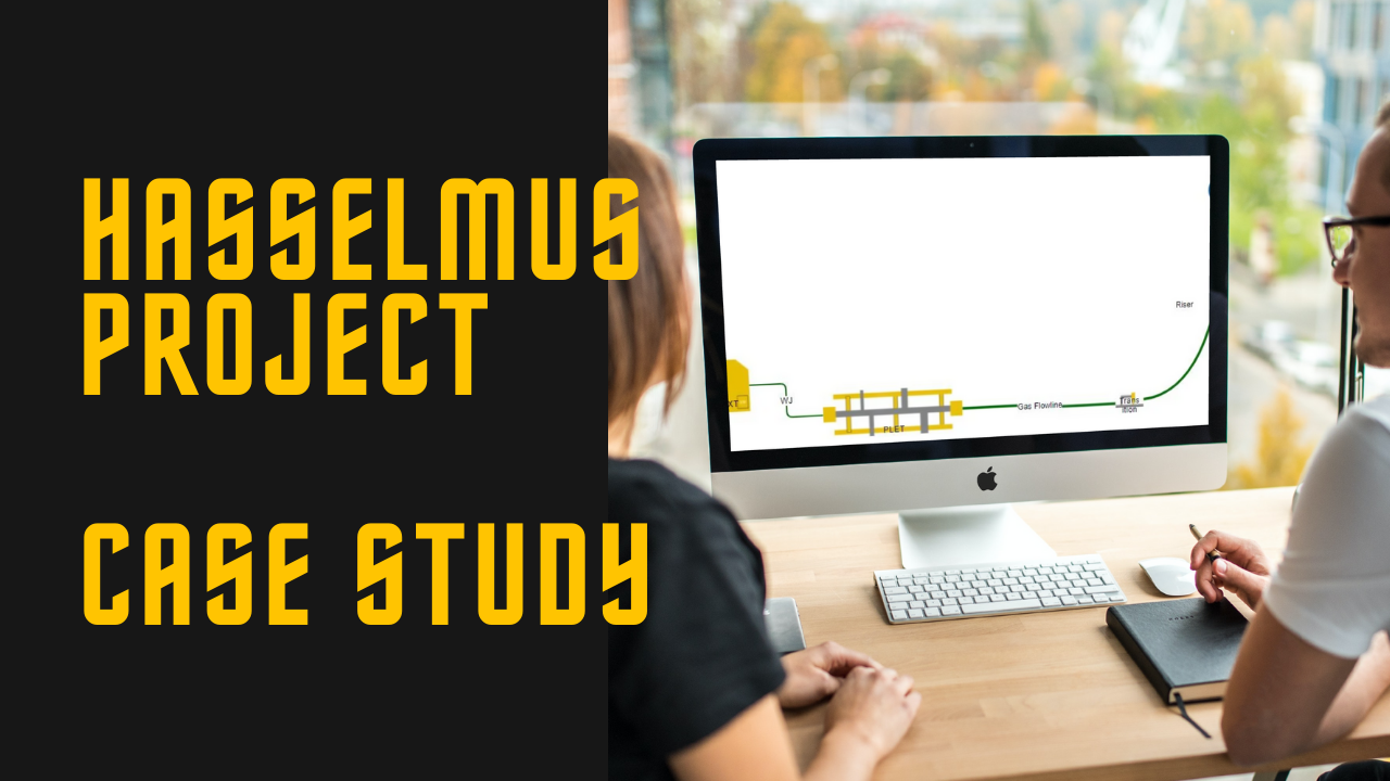 Case Study - Hasselmus Project - SFACE